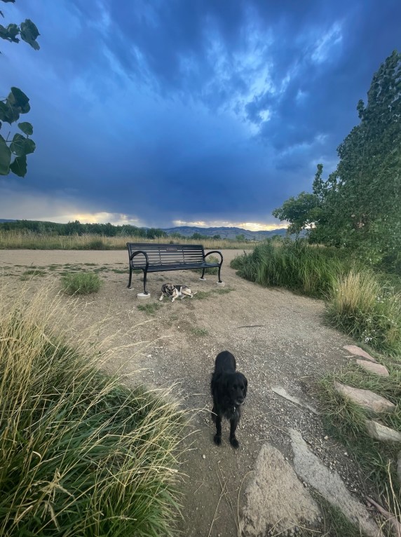 Memorial Bench Installed at Coot Lake – Cara's Wave of Hope Foundation