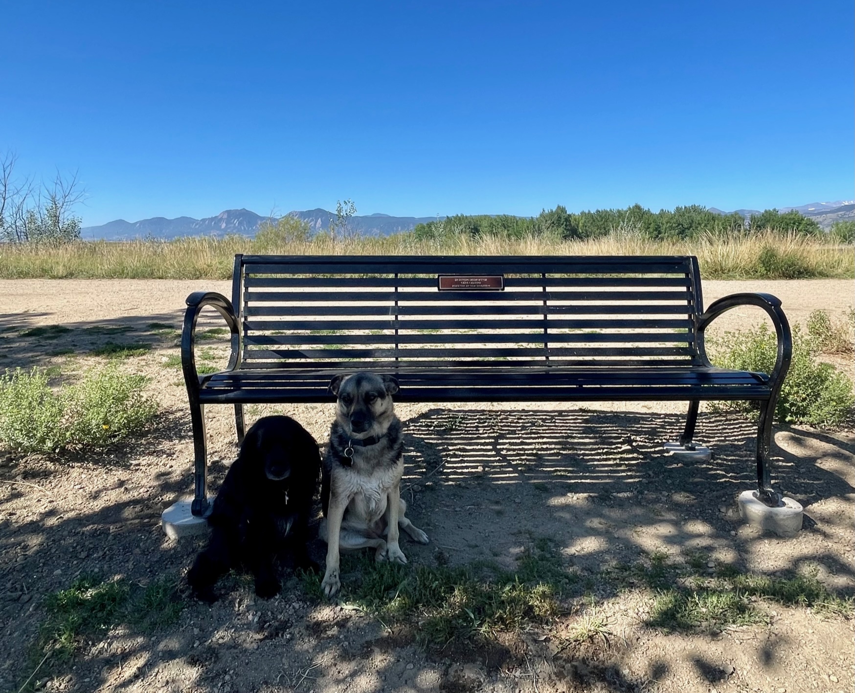 Memorial Bench Installed at Coot Lake – Cara's Wave of Hope Foundation